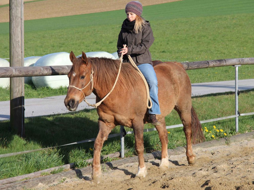 Anja | Horsemanship Training